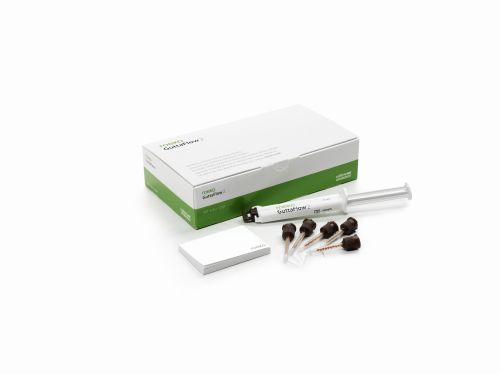 Gutta Flow 2 Automix introductory set - Sealant and gutta-percha for ...